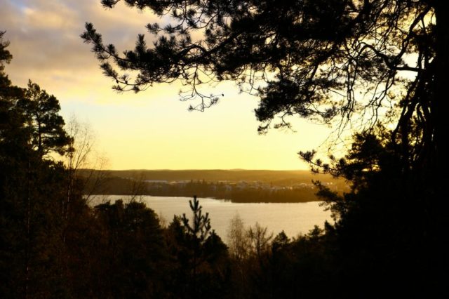 タンペレお薦めの観光地：プーニッキ展望台とドーナツカフェ（Pyynikki observation tower cafe） | キートスショップ